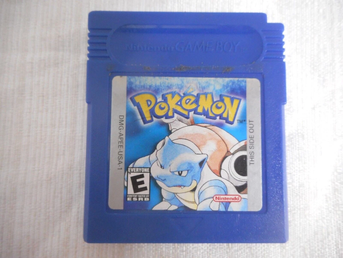 Pokemon Blue Character Boy