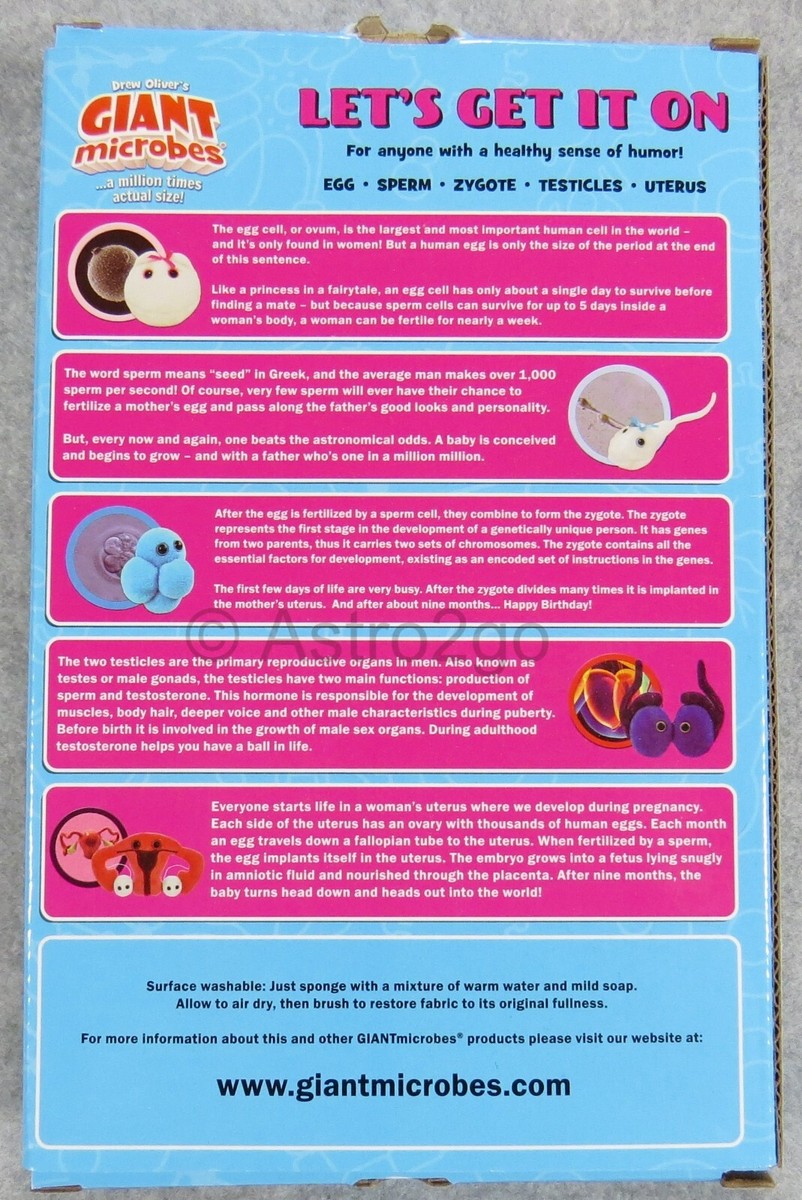 Human Egg Cell Size The Human Egg Cell, Explained By An Embryologist
