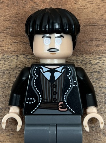 Lego Harry Potter Draco Voldemort Credence Professor Trelawney ...