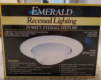 Emerald Recessed Lighting 75 Watt Eyeball Fixture P201-ICW | eBay