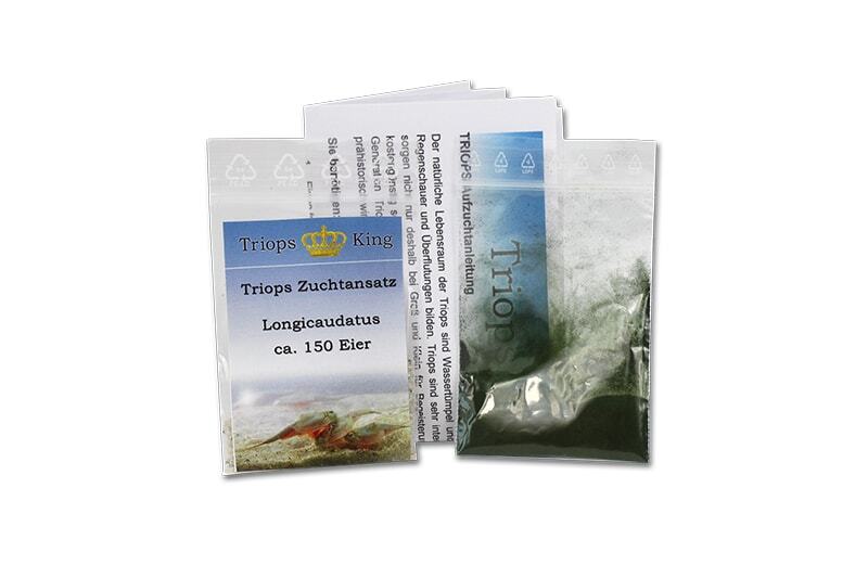 Triops Longicaudatus Tadpole Starter Kit incl. feed, triops and ...