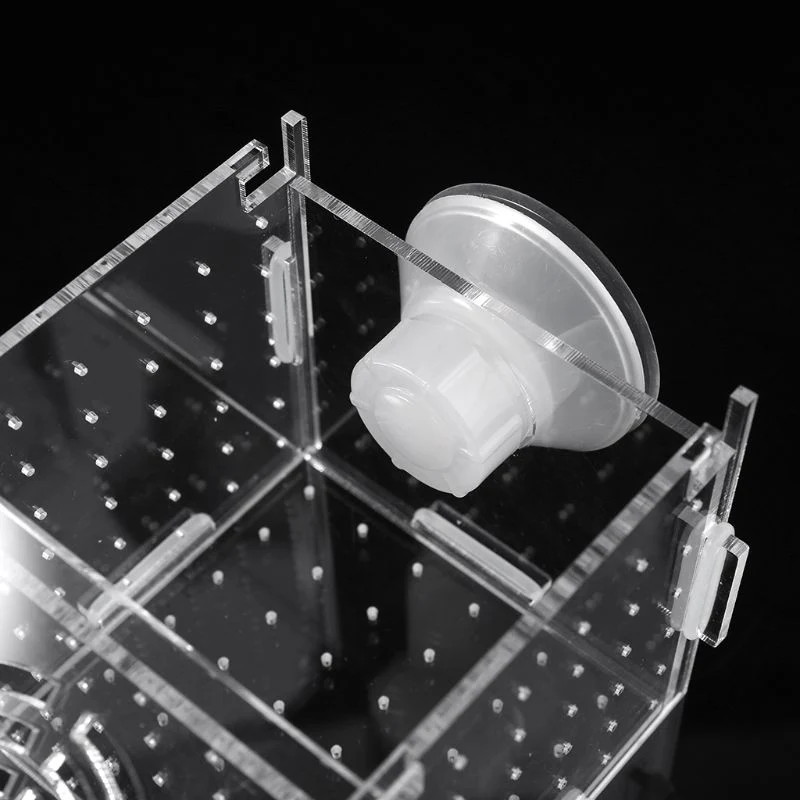 Aquarium Fish Breeding Isolation Box Baby Fish Incubator Hatch Fish ...