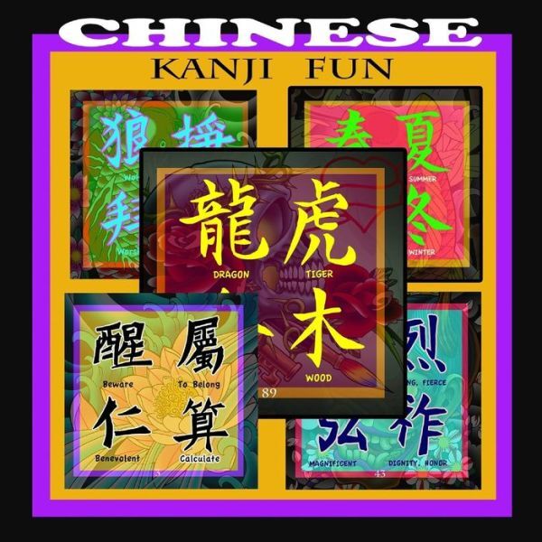 Chinese Kanji Fun: Chinese Kanji's 9781948187275| eBay