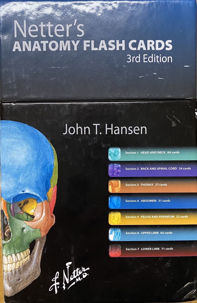 Skull Anatomy Flash Cards