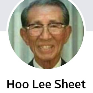 Ho-Lee Sheet Stuff | eBay Stores