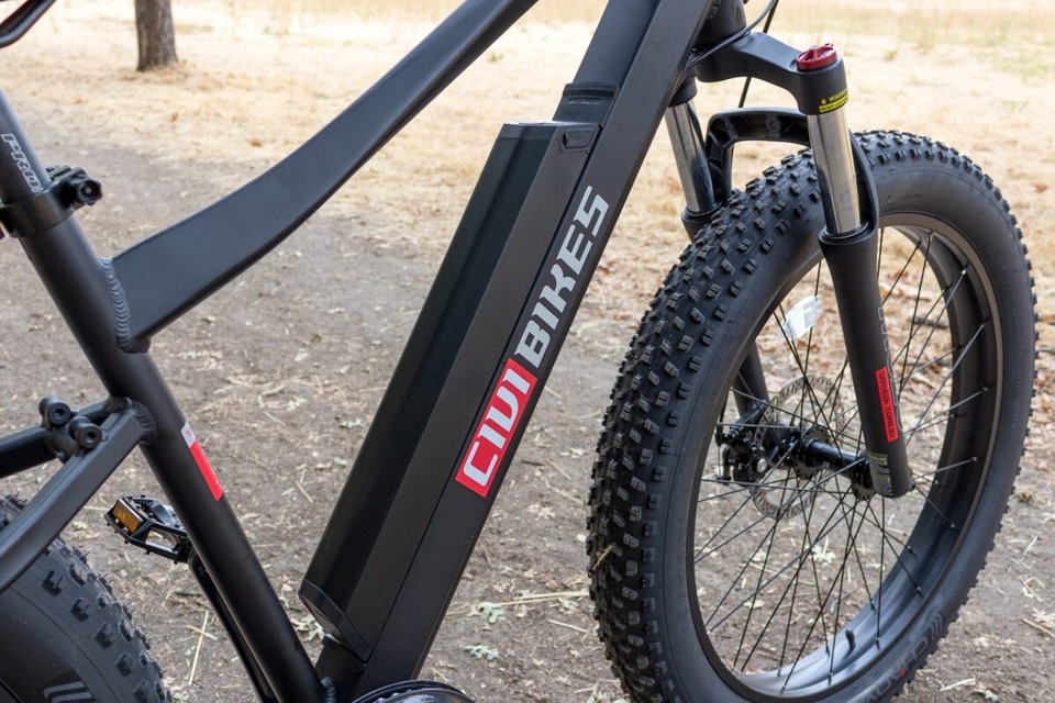 The Amazing PREDATOR E-BIKE by REVI | eBay