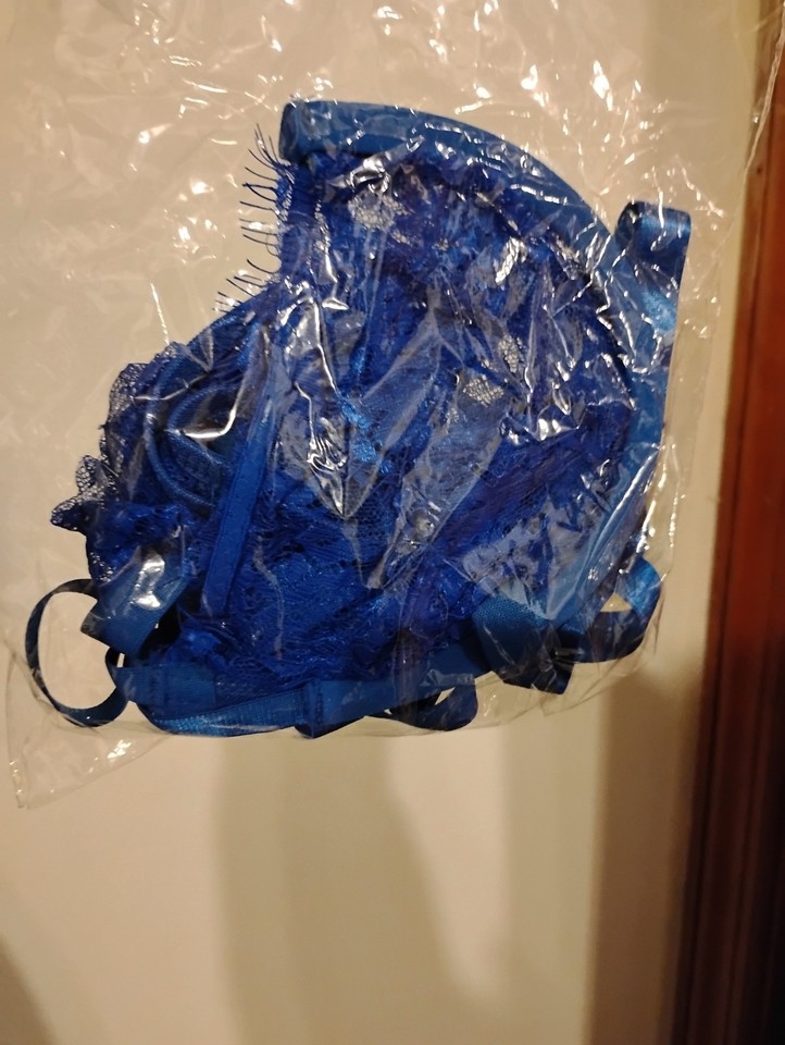Bra And Thong Set Brand New In Package Blue Size Large | eBay