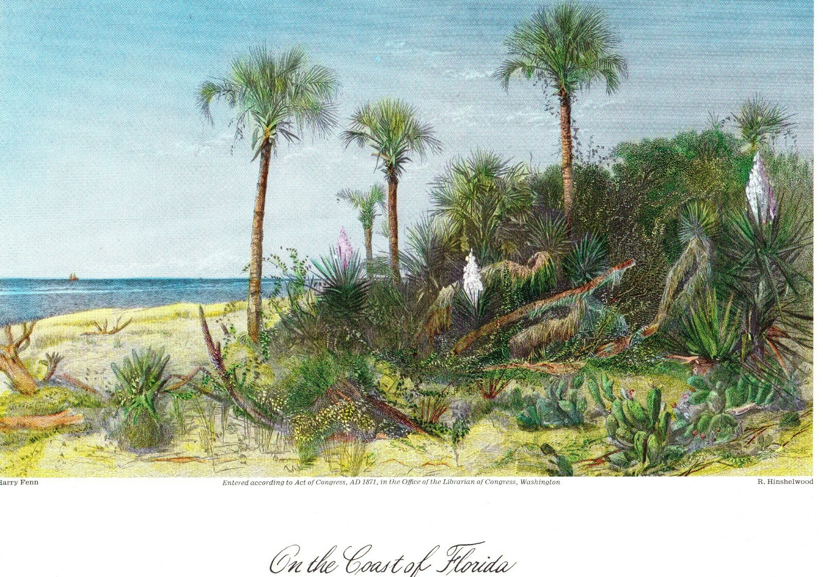 "On the Coast of Florida" by Harry Fenn 1874 Classic Art reproduction ...