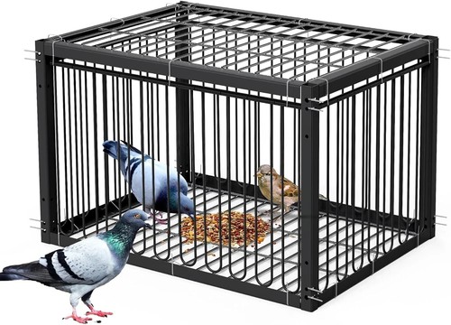 Pigeon Trap Cage Bird Traps for Small Birds with One-Way Entry 17.3 ...