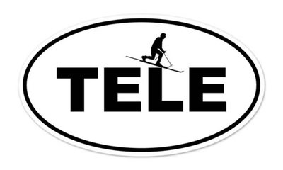 Telemark Skiing Ski Oval car bumper sticker decal 5" x 3" | eBay