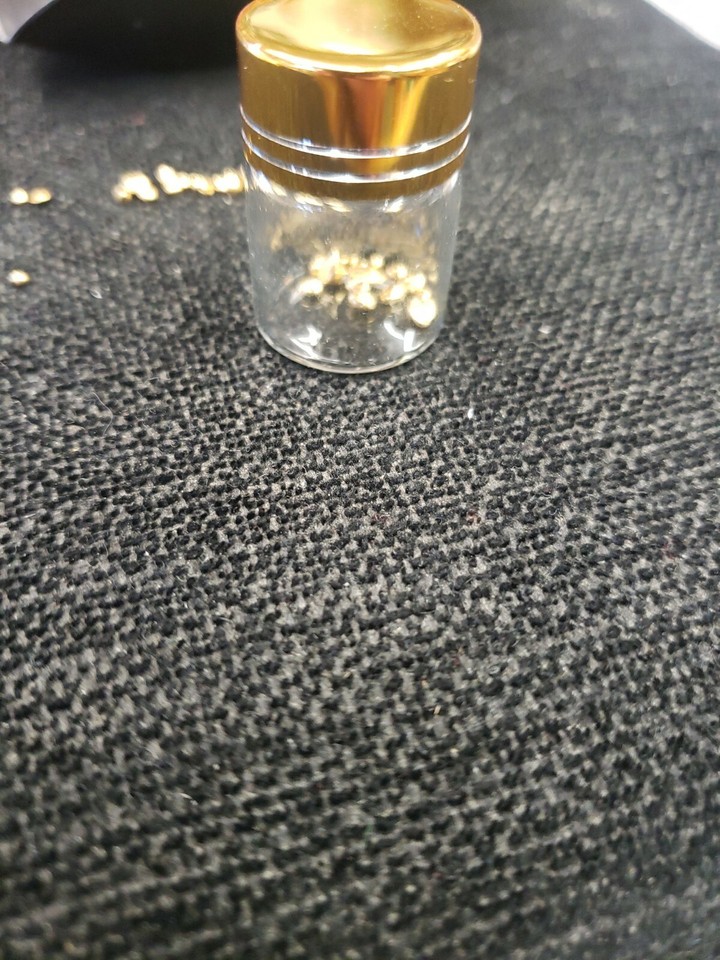 3.5 gram Gold 24K .9999+ Refined Pure Gold Shot. Real Gold | eBay