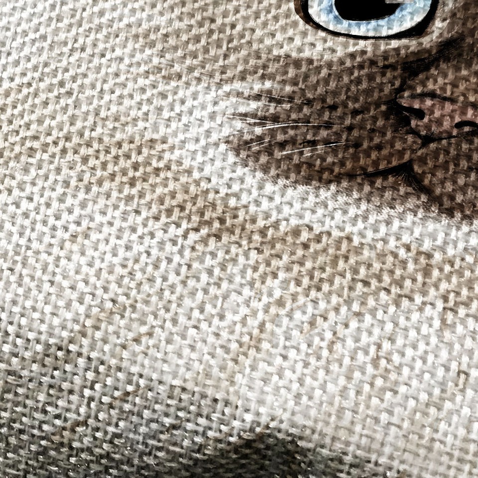 Cat Polyester Linen Pillow Case Sofa Waist Throw Cushion Cover w ...