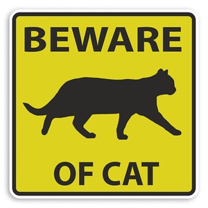 2 x 10cm Beware of Cat Sign Vinyl Stickers - Cats Kitten Funny Sticker ...