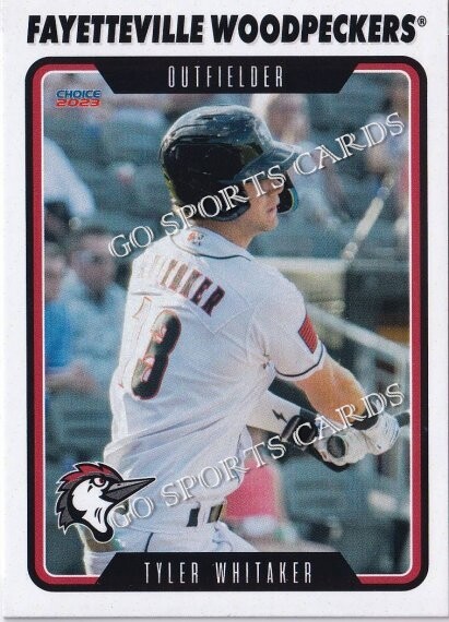 2023 Fayetteville Woodpeckers Tyler Whitaker RC Rookie Astros Minor ...