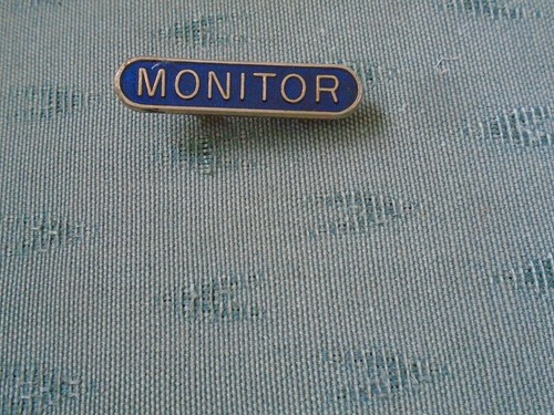 SCHOOL UNIFORM - MONITOR - BLUE ENAMEL PIN BADGE | eBay UK