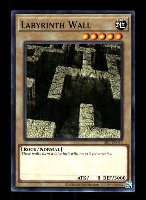 YuGiOh Spell Ruler Labyrinth Wall SRL-EN055 NM/MT * | eBay