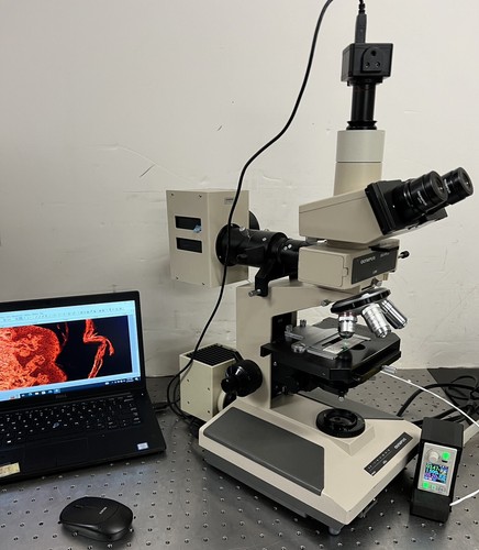 Olympus BH2 BHS Universal LED Fluorescence Microscope with 5 MP camera+ ...