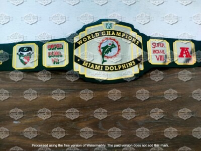 Miami Dolphins NFL Championship Belt Adult Size 2mm Brass | eBay