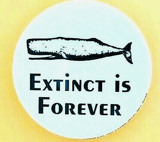 EXTINCT IS FOREVER - 1980 EARTH DAY Protest Button with Endangered ...