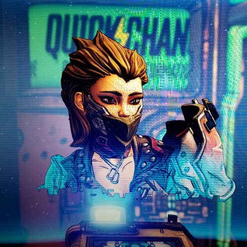 PSN/Xbox/PC Borderlands 3 [Cosmetics/Skins] (Moze) Outlaw | eBay