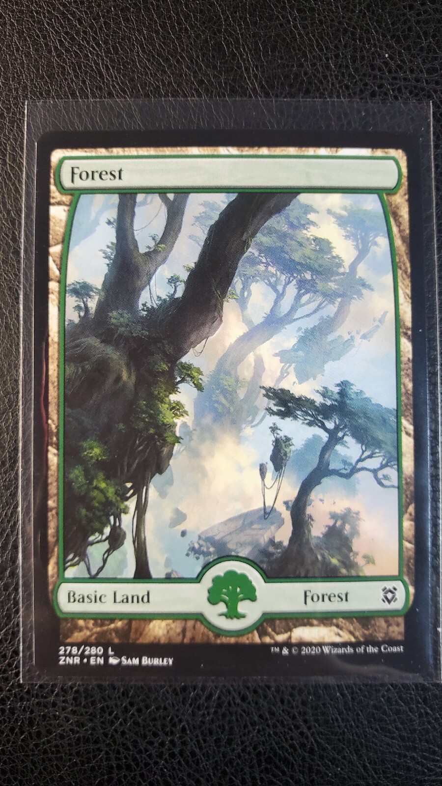 Forest Full Art 278/280 M PF MTG Zendikar Rising Series | eBay
