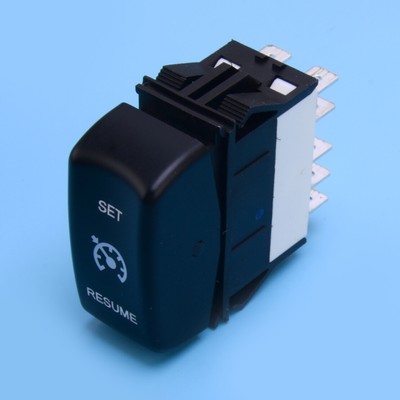 Fit For Kenworth P27-1040-15 Cruise Control Rocker Switch B8 | eBay