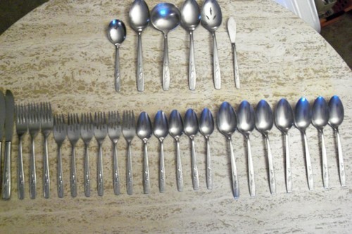 ONEIDA CUSTOM STAINLESS FLATWARE AUTUMN MEMORY PATTERN 31 PIECES | eBay