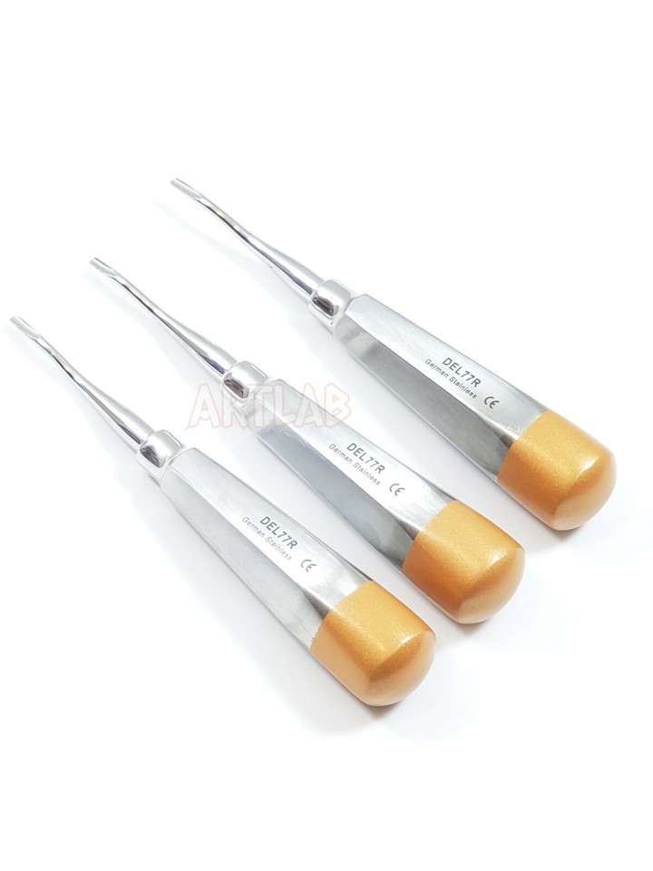 5 EA German Premium Root Dental Tooth Extracting Elevator # 77R-Dental ...