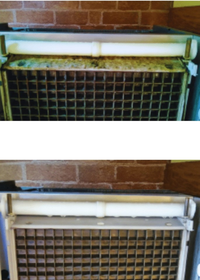 NEW BioZone IceZone-20 UV LIGHT / MOLD KILLER (Ice Machines/Beverage ...