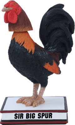 Sir Big Spur VII South Carolina Gamecocks Live Gamecock Mascot ...