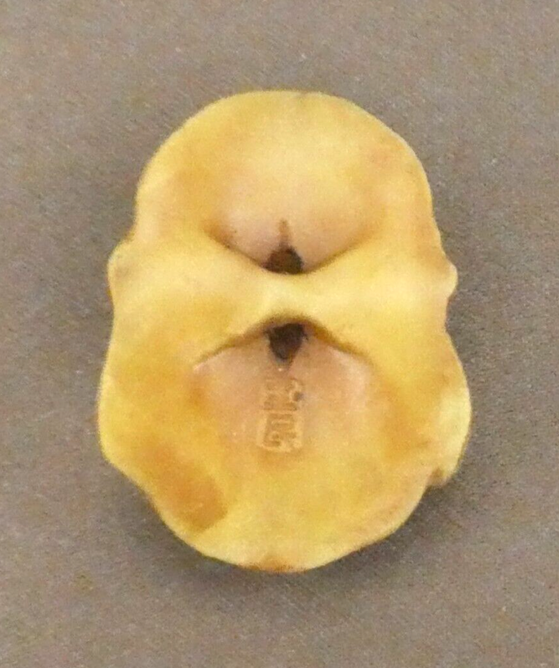Old Japanese Netsuke Ojime Bead Face Mask Head Signed 15/16" | eBay