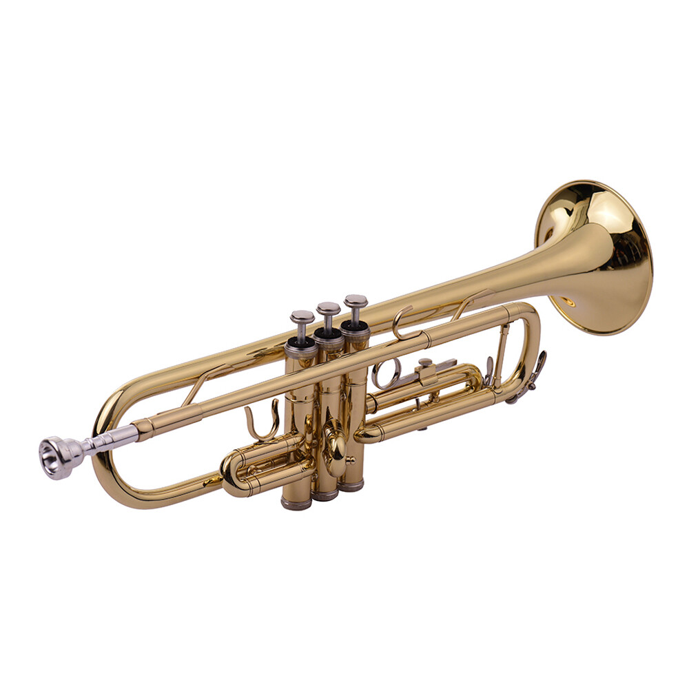 Standard Bb Brass Trumpet Wind Instrument with Mouthpiece Tuner U6V7 | eBay