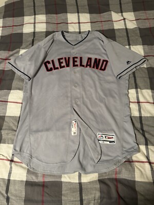 Majestic Cleveland Indians Yan Gomes 2016 Issued Road Gray Jersey 48 ...