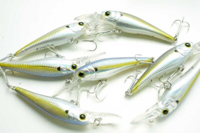 LUCKY CRAFT Bevy Shad 50SP - 580 MH Chartreuse Shad (1qy) Top Quality ...