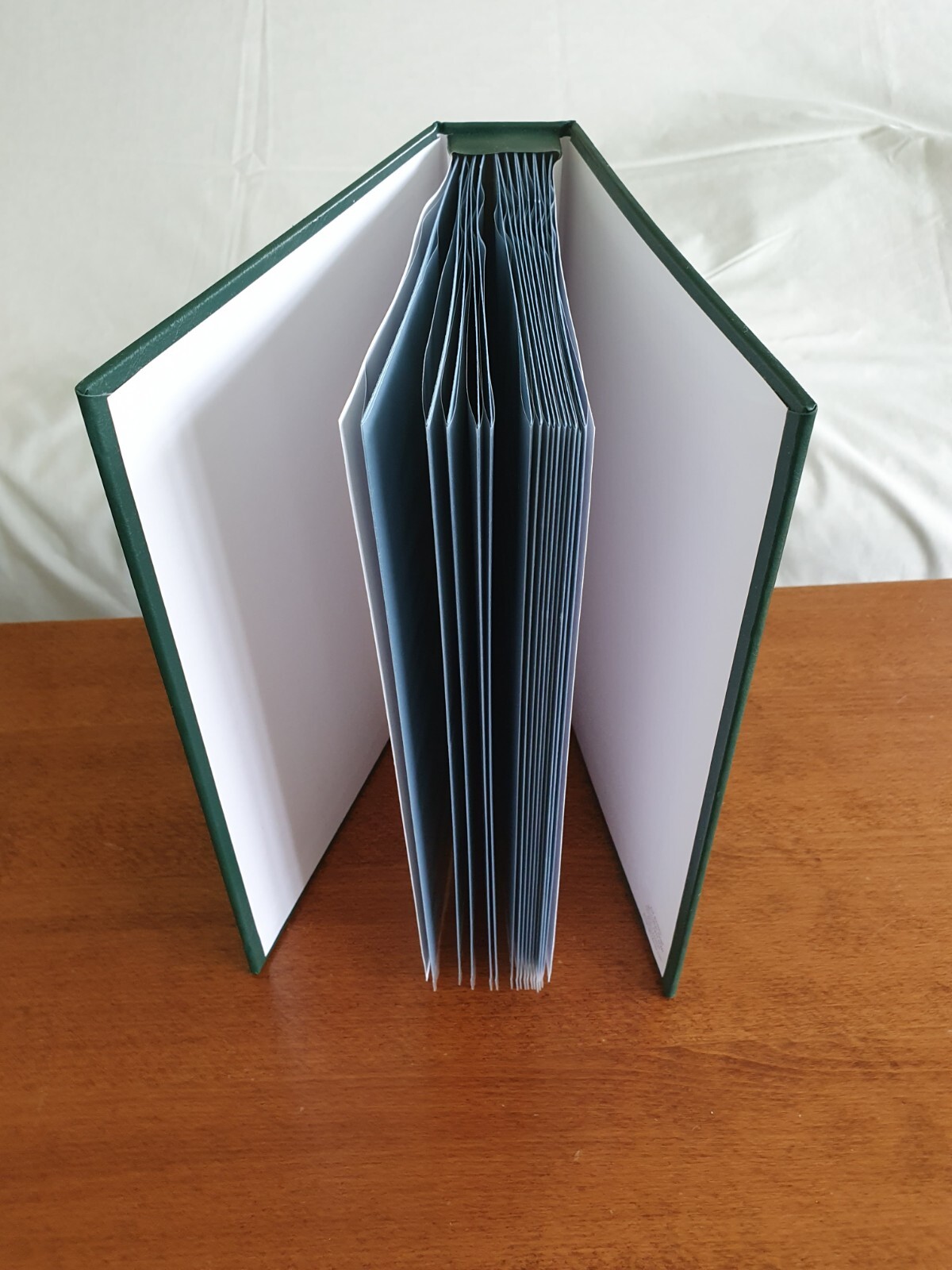 PLYMOUTH ARGYLE PROGRAMME BINDERS. PREWAR TO 2011 | eBay UK