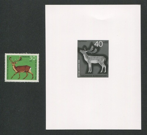 FRG PHOTO ESSAY 1966 513 HIGH GAME FALLOW DEER DRAFT PHOTO ESSAY DRAFT ...