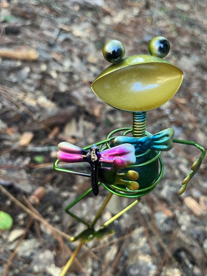 Mr. Wiggles Metal Frog Flower Garden Pick Frog Dragonfly Garden Frog ...