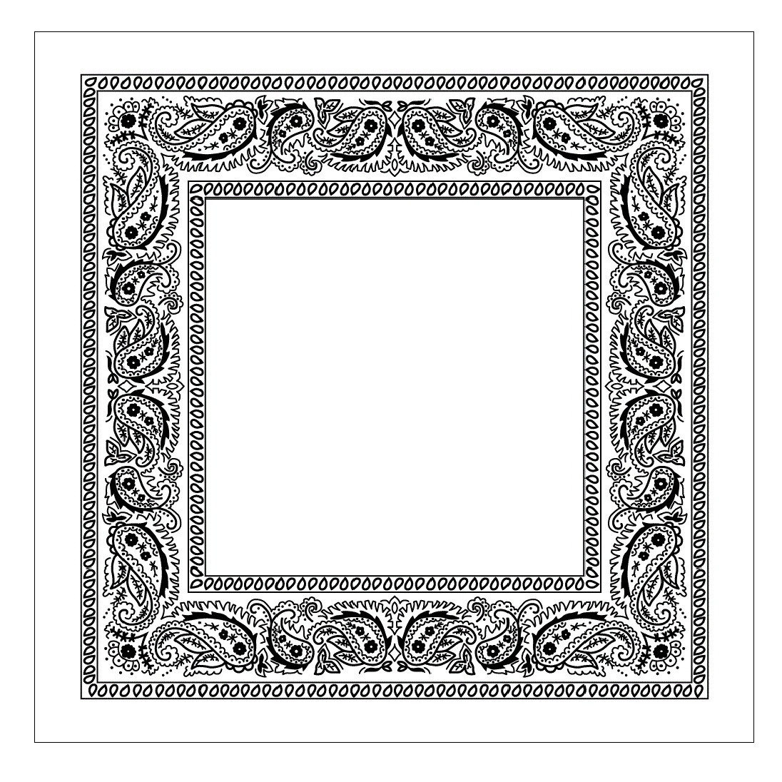 Paisley Bandana Border