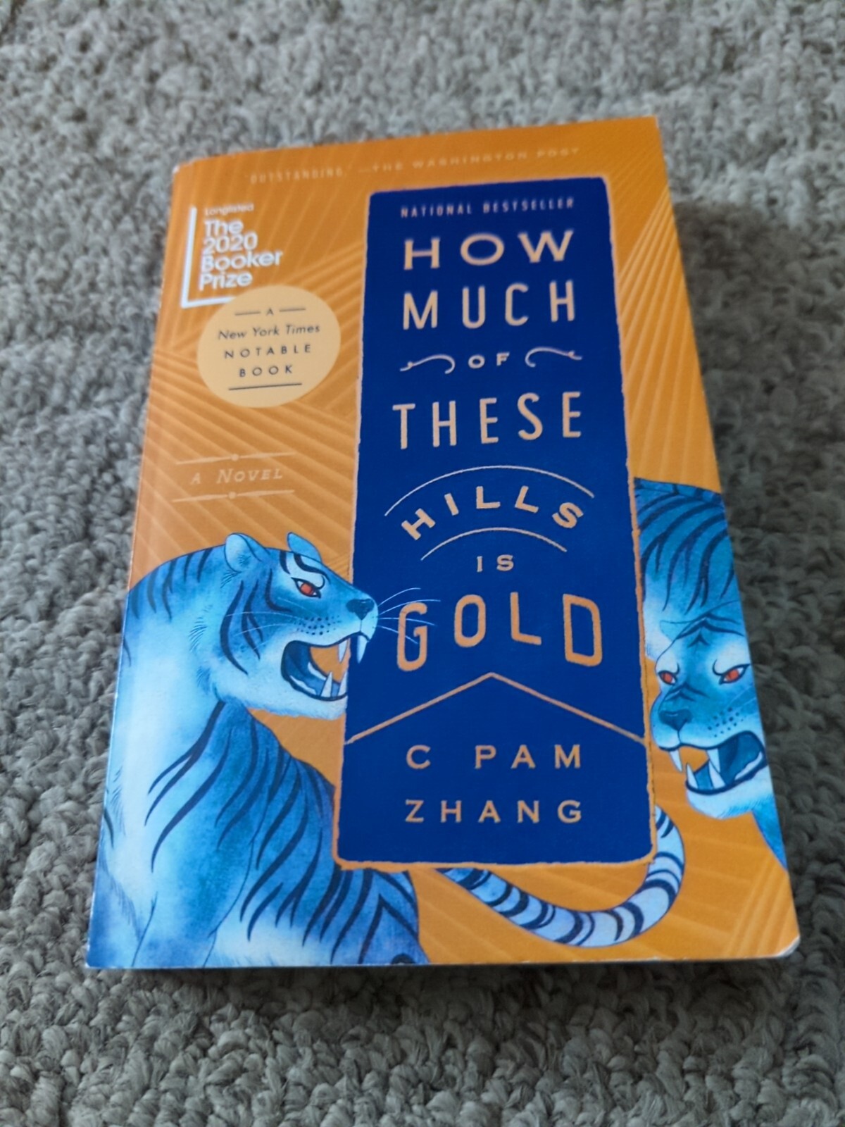 How Much of These Hills Is Gold : A Novel by C. Pam Zhang (2021, Trade ...