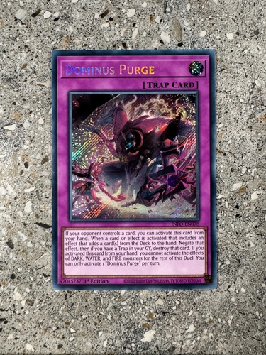 Yugioh TCG Dominus Purge INFO-EN078 Secret Rare 1st Edition NM-M | eBay ...