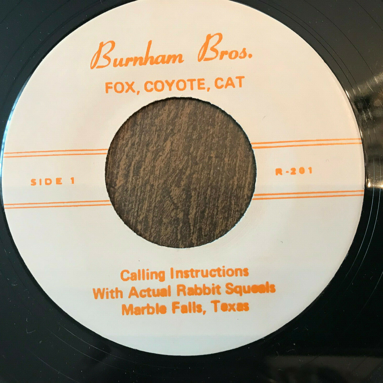 Burnham Bros Fox Coyote Cat Calling Instructions with actual Rabbit ...