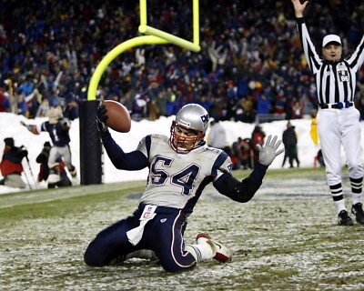 Tedy Bruschi Touchdown Celebration New England Patriots 8x10 NFL ...