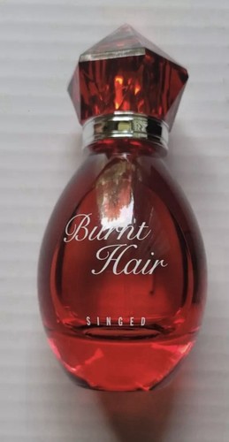 Burnt Hair Perfume Cologne The Boring Company by Elon Musk Tesla 2023 ...