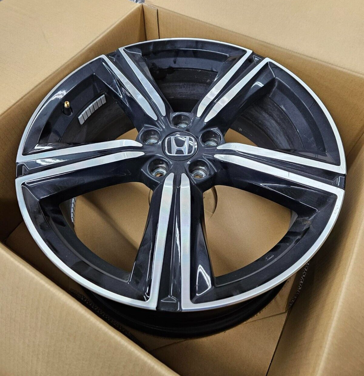 Honda Accord Sport 2024 Colors