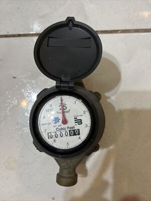 Badger Meter