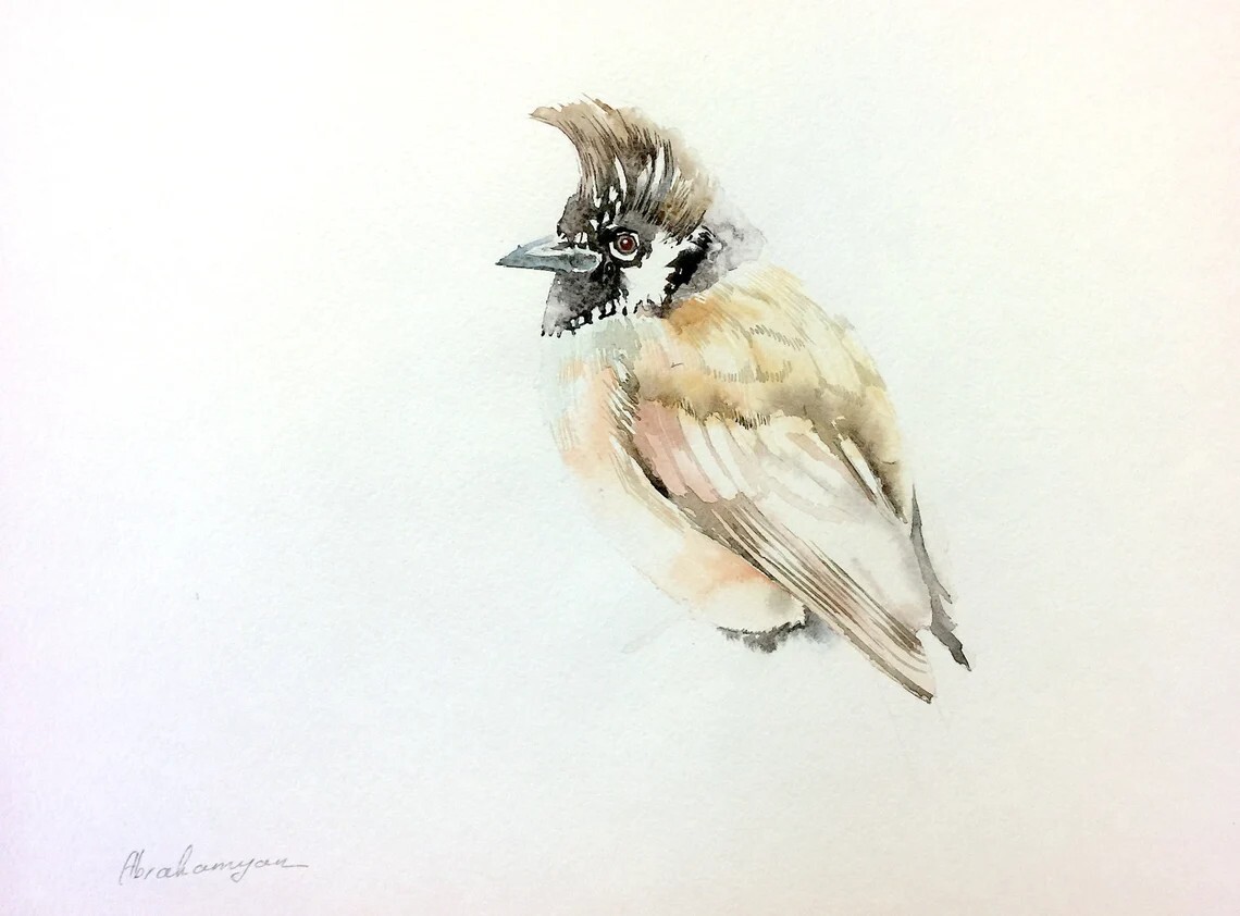Bulbul, Birds, Watercolor artwork, Handmade, Original painting on paper ...