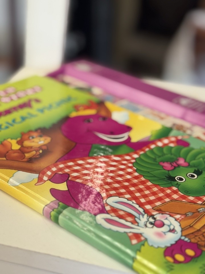 Barney’s Magical Picnic Golden Sound Story Book 1993 Vintage | eBay