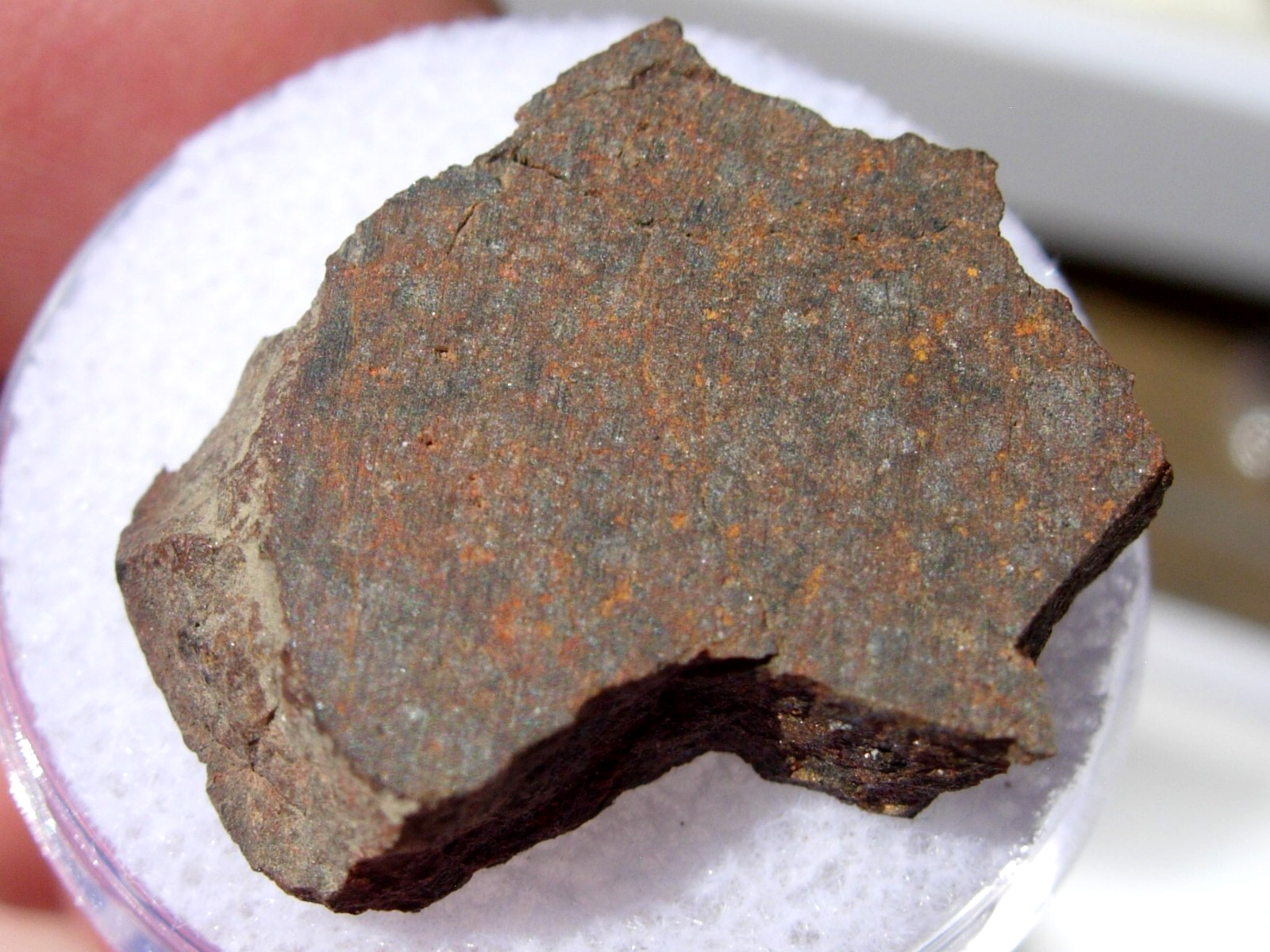3.84 grams NWA 5775 Meteorite Ordinary chondrite (LL5) cut fragment ...