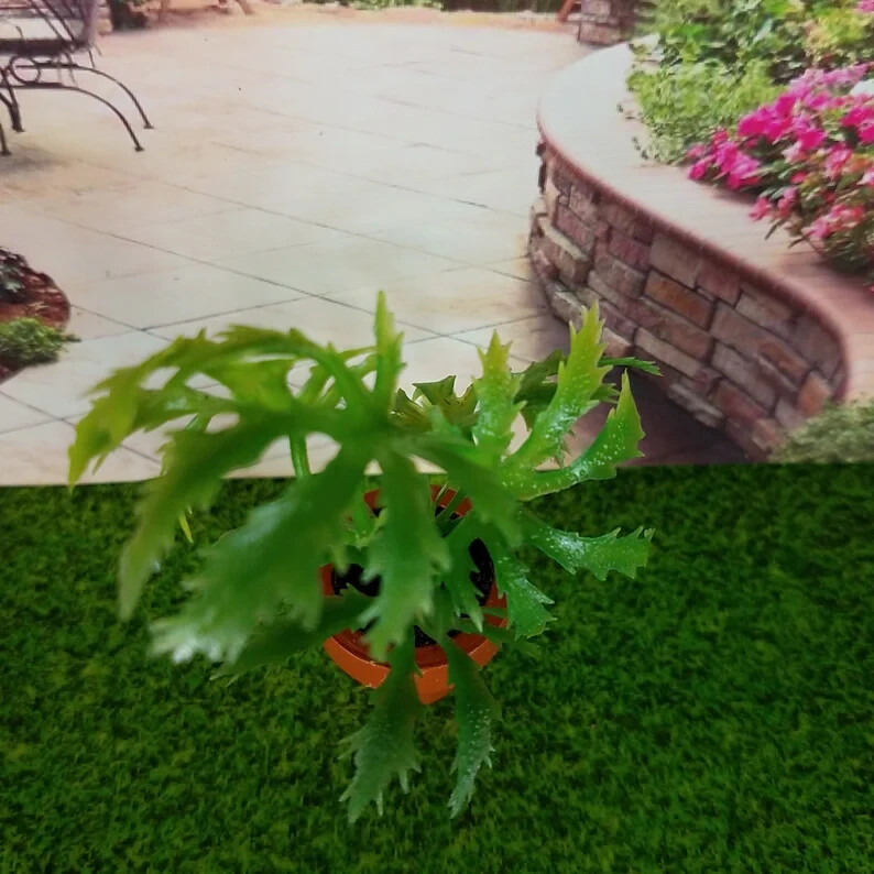 Miniature Dollhouse Diggs Faux Marijuana Plant Mini Weed Hemp Cannabis ...