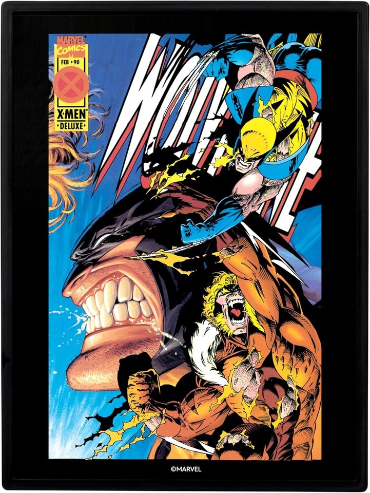 Fandrop MV01-Wolverine VS. Sabretooth, Combines A Displayable Diorama ...